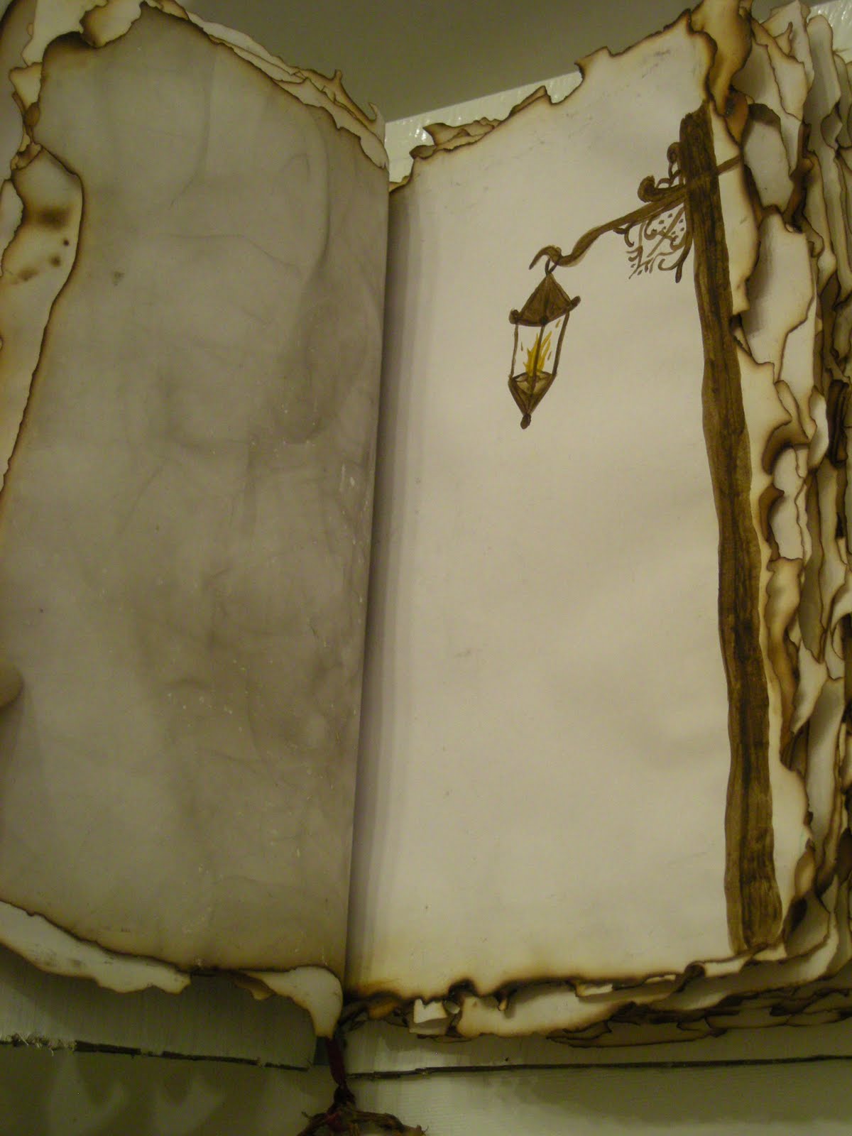 Lotus Moon Apothecary: Book of Shadows