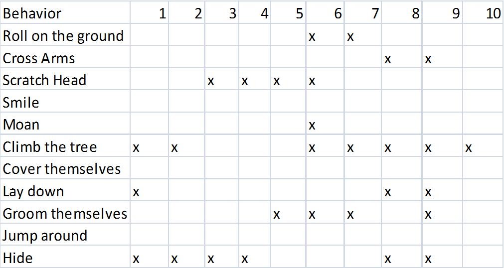 Orangutan!: Field trip