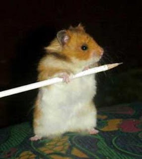 in the dark side: el hamster asesino