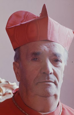 the far sight 2.0: Cardinal Ottaviani...