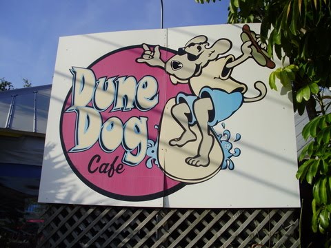 Jane's Bits: Hang ten (or not) and head to Dune Dog Café - Jupiter, Florida
