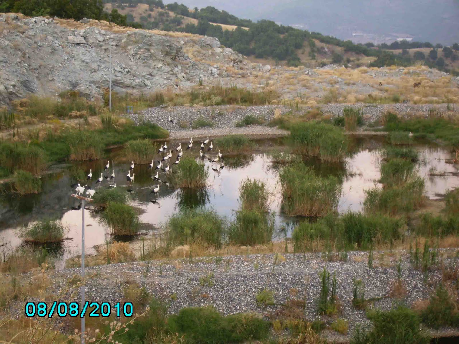 ΤΟ ΠΕΡΙΒΑΛΛΟΝ ΕΚΠΕΜΠΕΙ SOS: 1/8/10