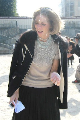 Bitch Salad: That "Anna Wintour" Blog