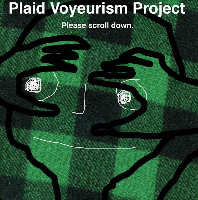 Plaid Voyeurism Project