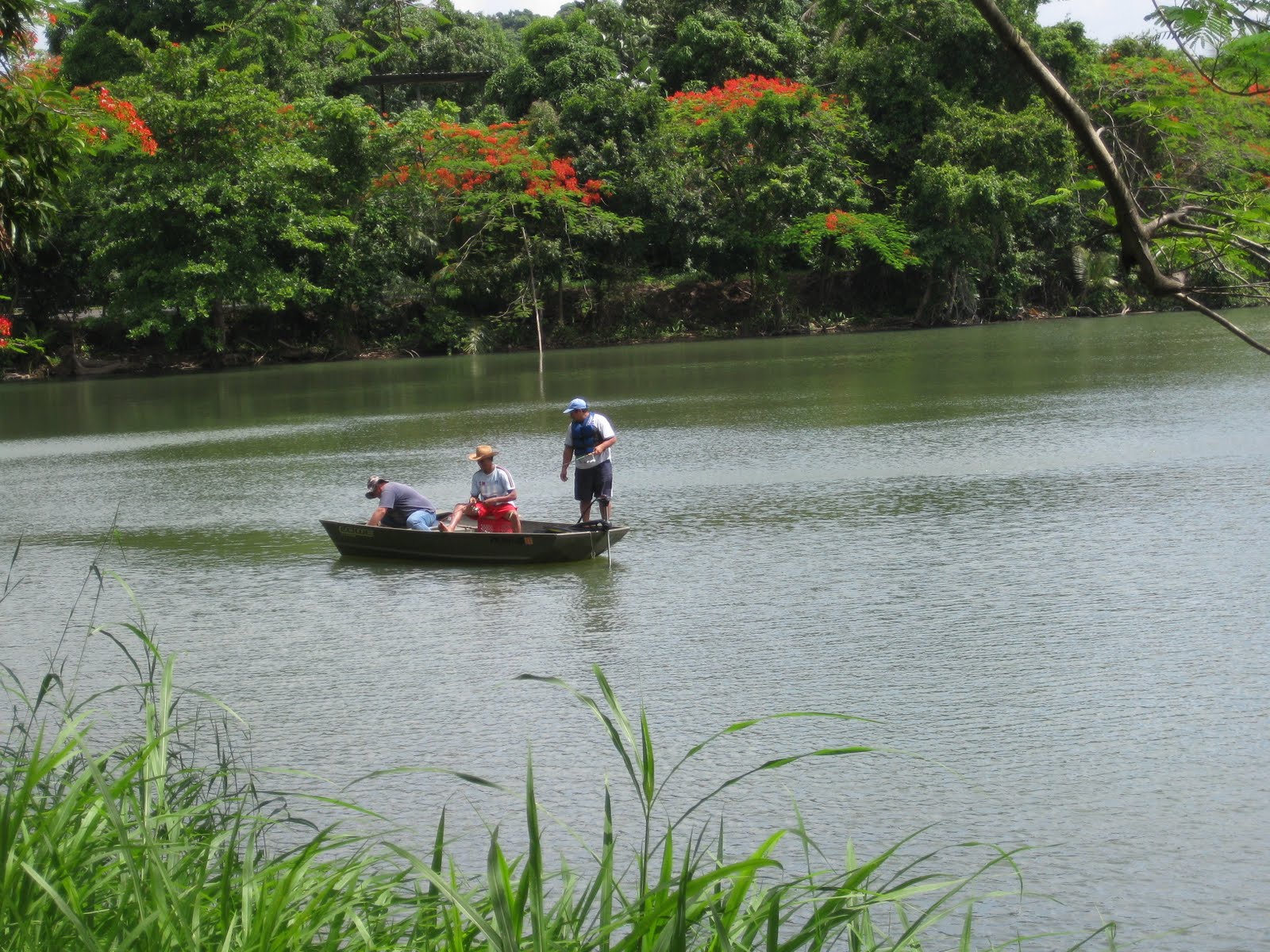 Puerto Rico Is The Place: Puerto Rico, Patillas Vacation