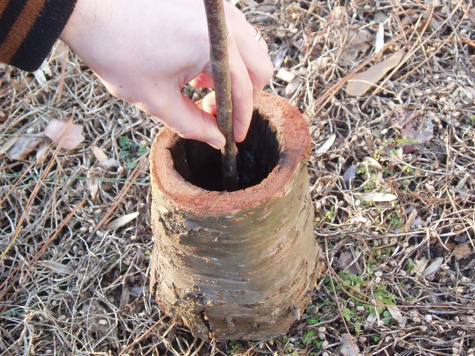 How To Make A Wooden Bowl With Fire