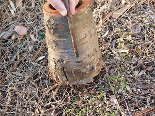 How To Make A Wooden Bowl With Fire