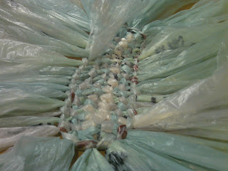 toward sustainability with three kids......: Plastic weaving workshop