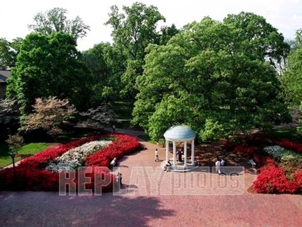 The Matured Watering Hole: Paper: How has the Old Well on the campus of ...