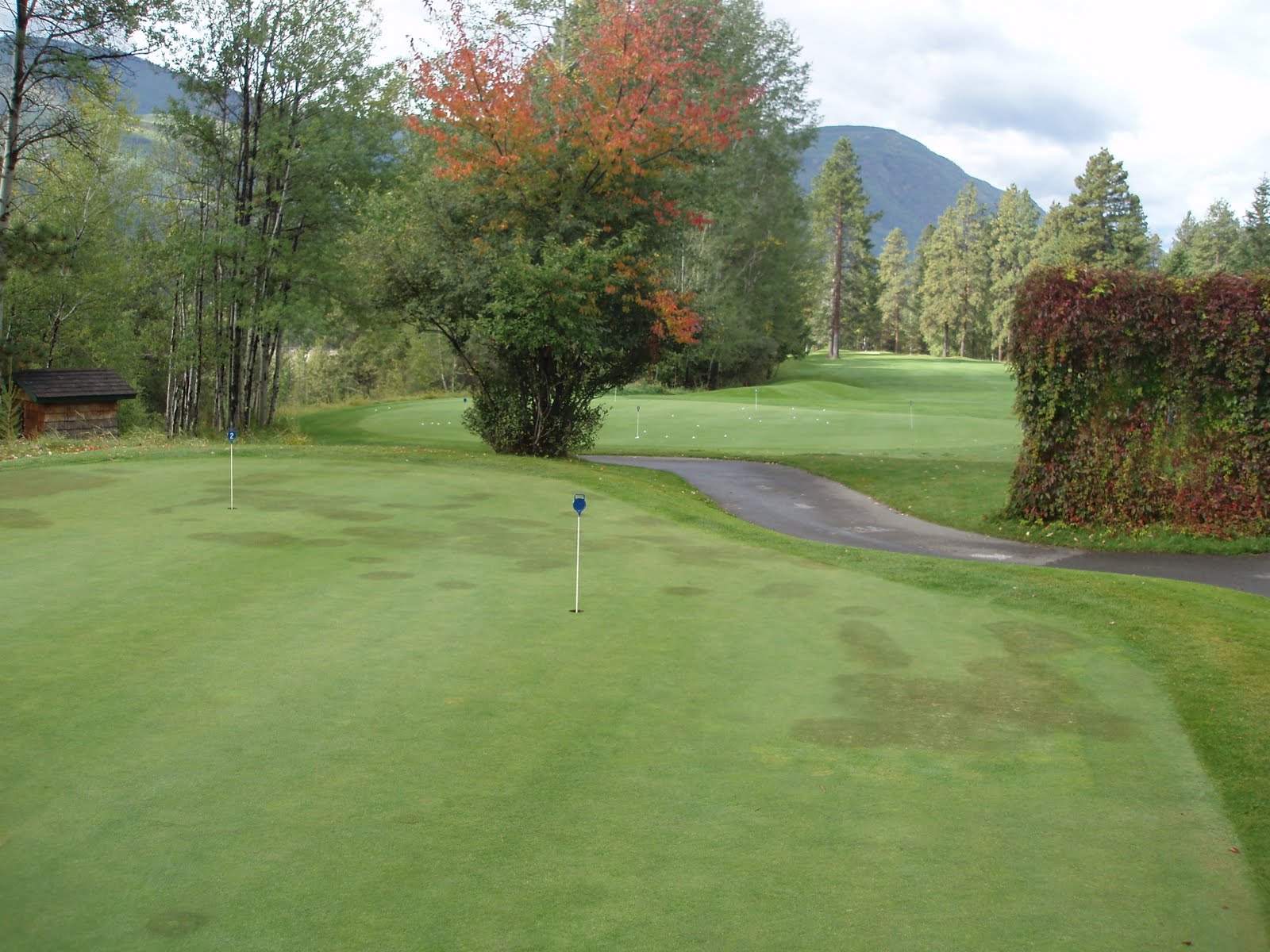 Kimberley Golf Club Outdoor Operations: moss