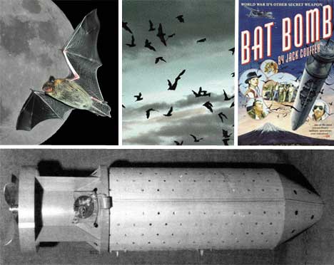 World Bird Sanctuary: Bat Bombers