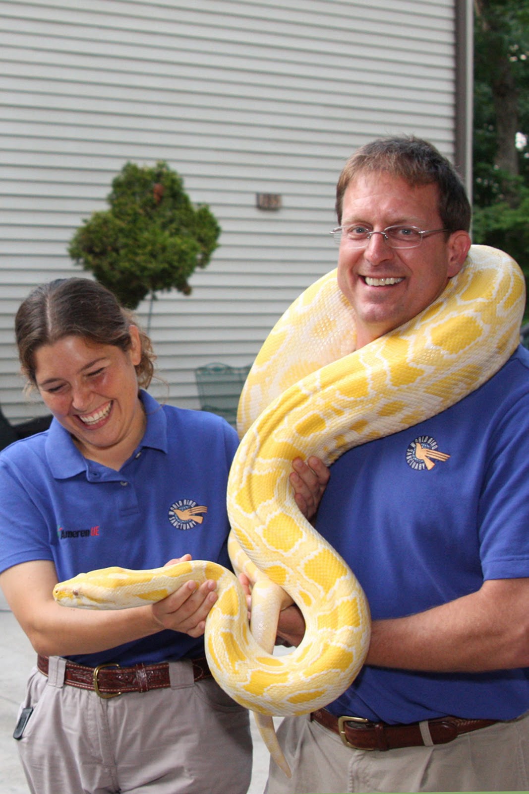 World Bird Sanctuary: Pet Snakes - Pros and Cons