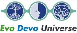 El ser humano en la sociedad: GENES HOX Y EVO-DEVO