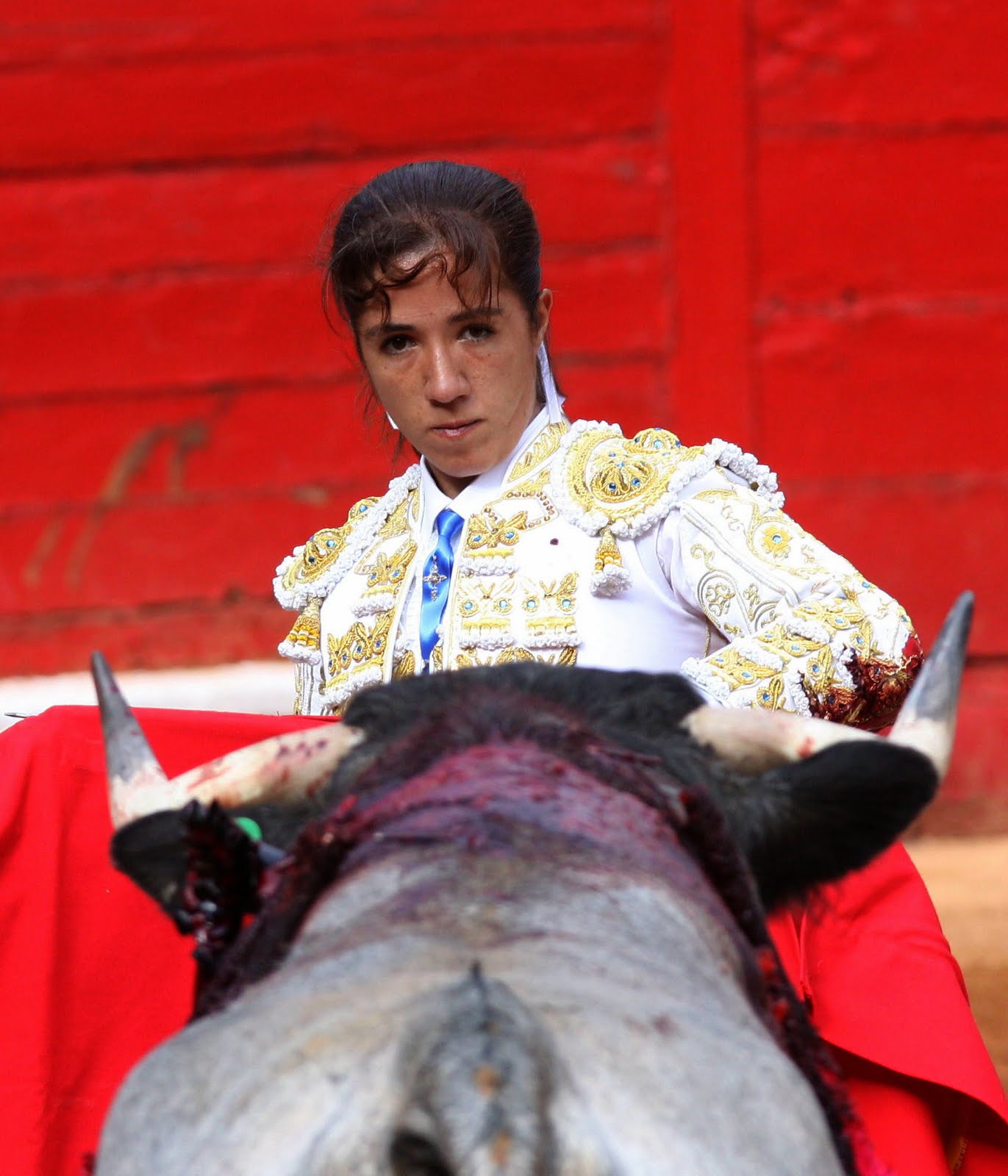 Saltillo « tauronews