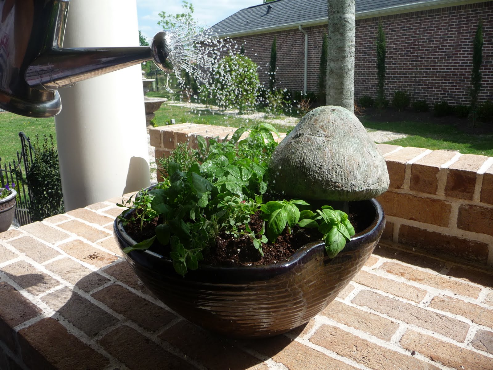 The Shiny Pebble: How to plant herbs in a pot