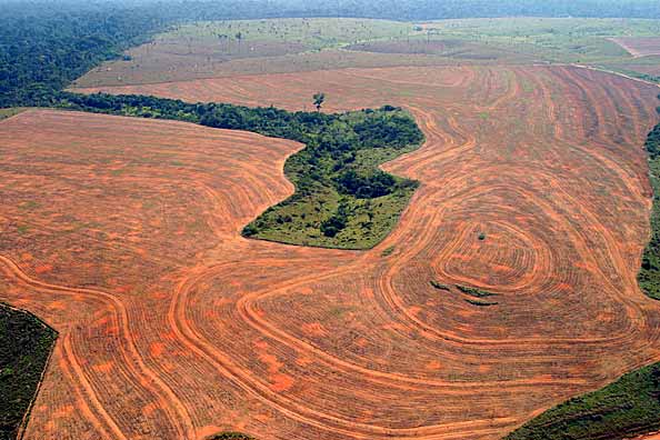 Amazônia *-*: Desenvolvimento da vida e a ocupação da Amazônia