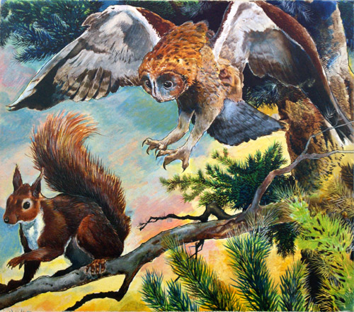 Illustration Art Gallery: G W Backhouse