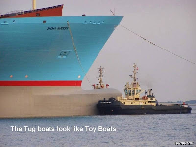 Emma Maersk - World's Largest Container Ship | Amazing Collection