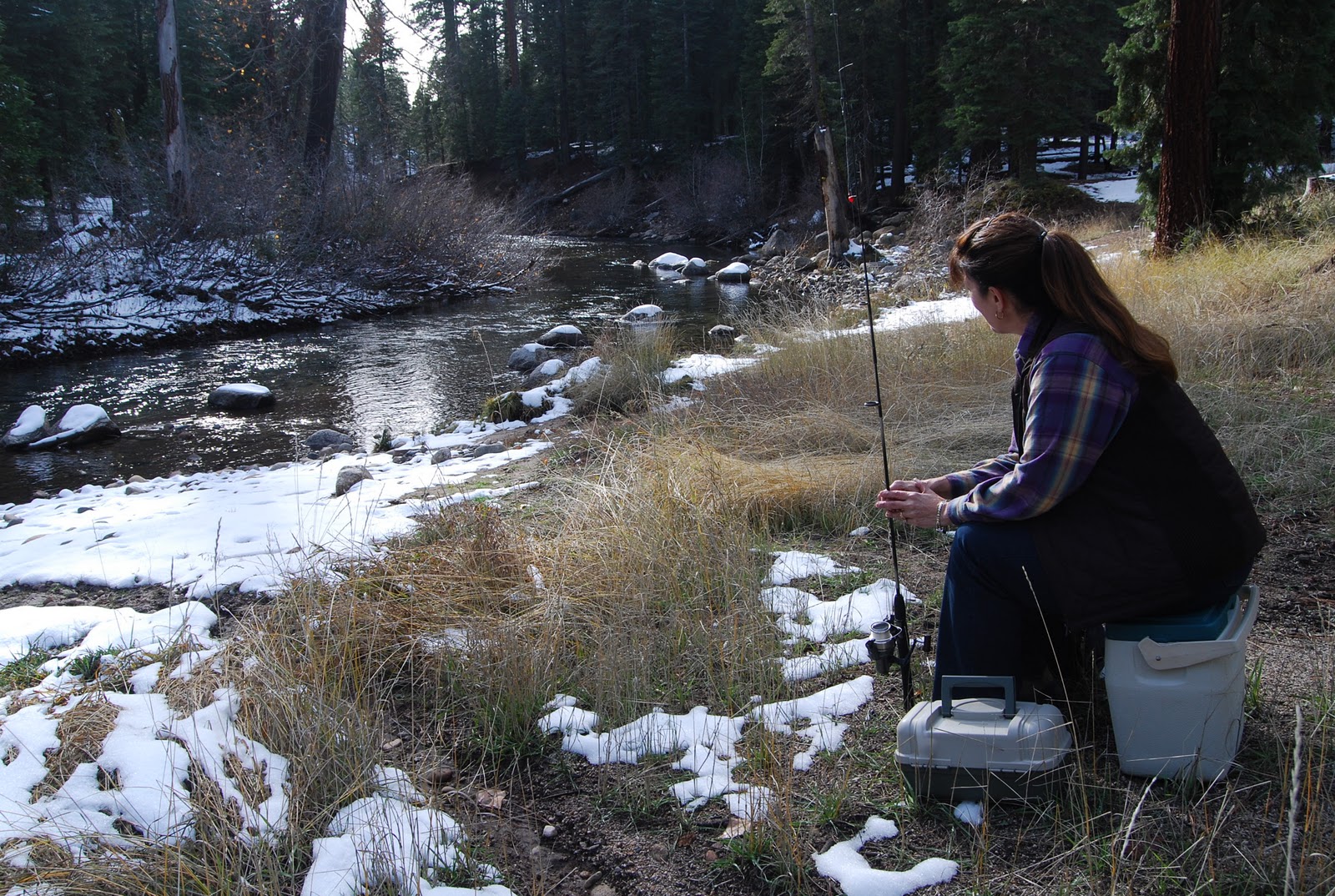 Mumzie's Country Place: Trout Fishing in the Sierra Snow - Outdoor ...