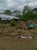 The pictures of Typhoon Frank's destruction in Iloilo | I'm with Mar Roxas