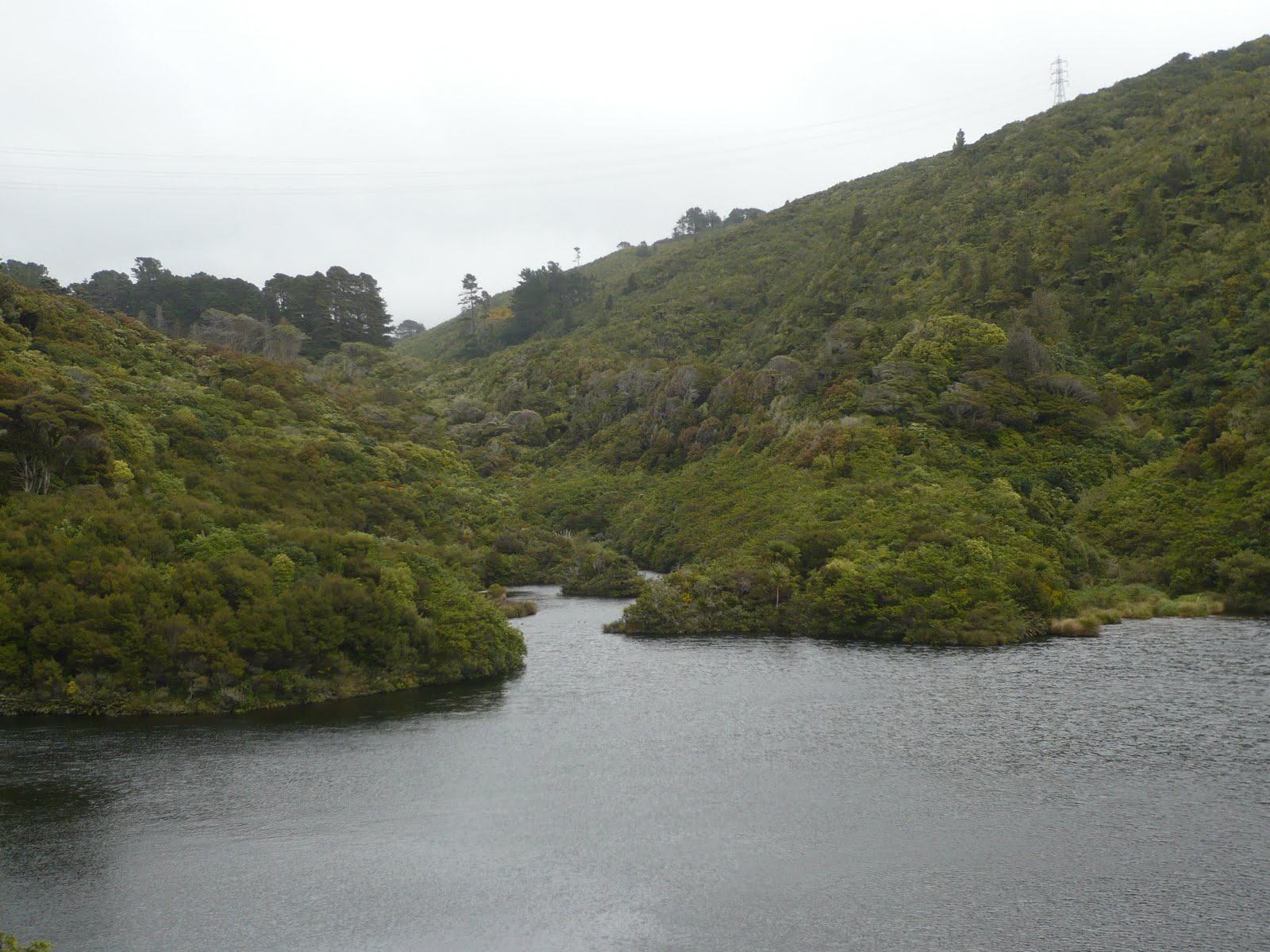 dieweltvonunten: Karori Wildlife Sanctuary/Zealandia
