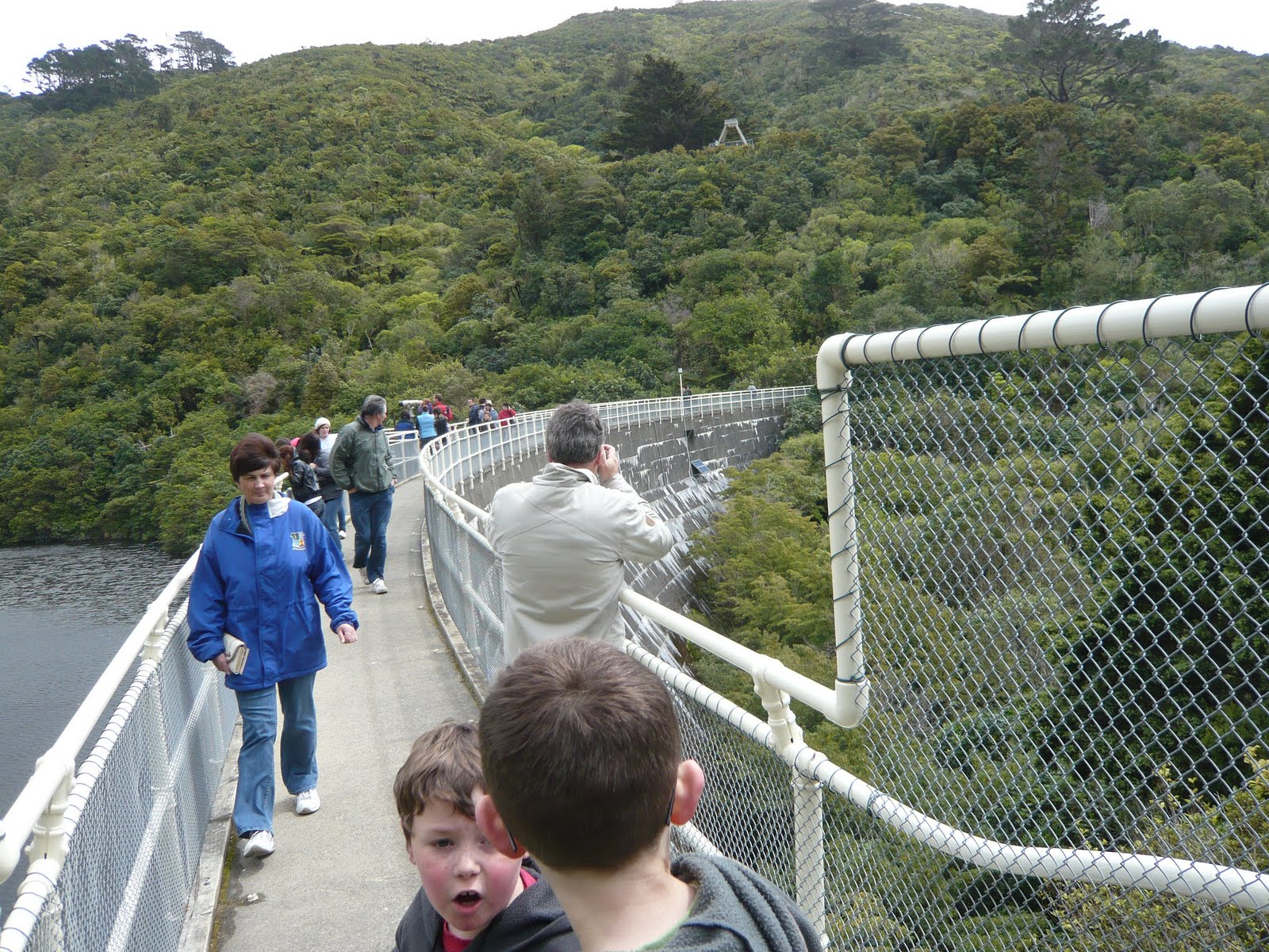 dieweltvonunten: Karori Wildlife Sanctuary/Zealandia