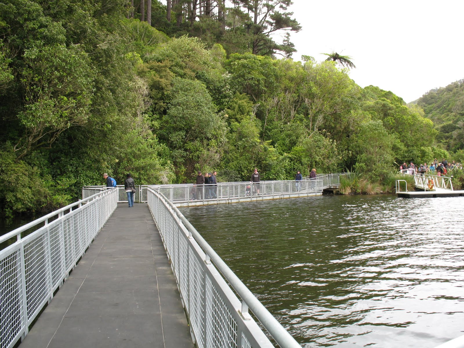 dieweltvonunten: Karori Wildlife Sanctuary/Zealandia