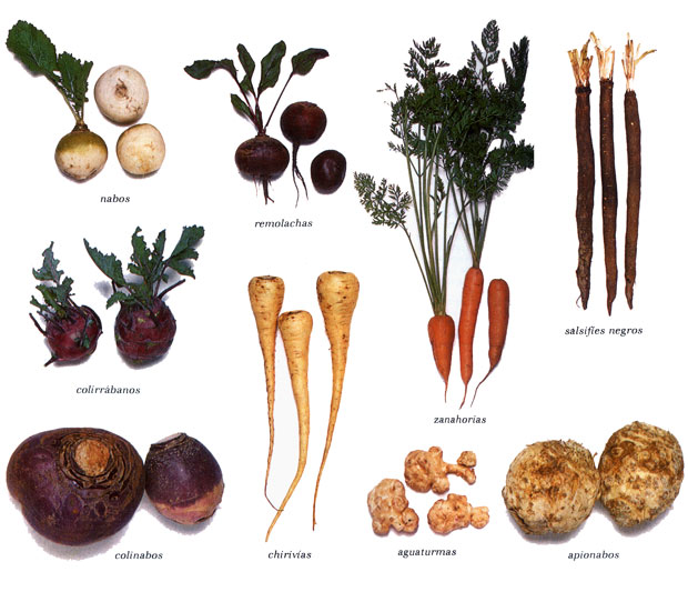 nenita nipona: PRODUCTOS