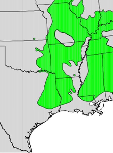 C a y l a w r a l: Ten-mile transition