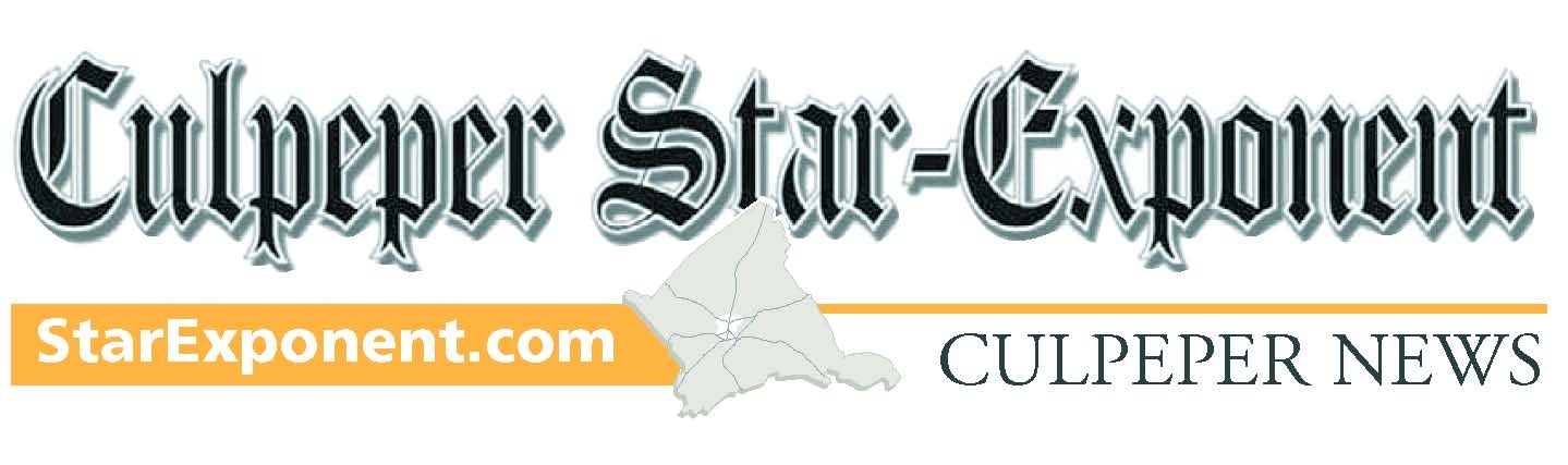 The Culpeper Business Blog: December 2010