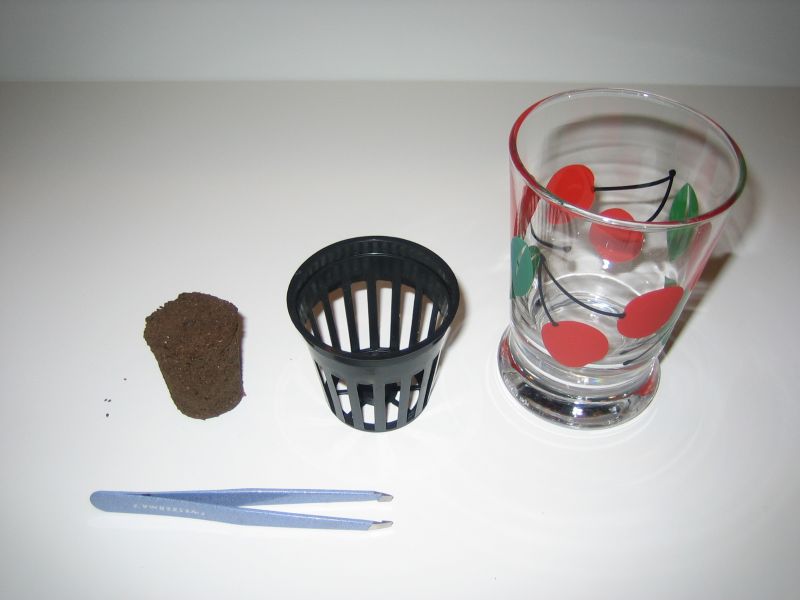 The Bucket Farm: How To: Germinating seeds