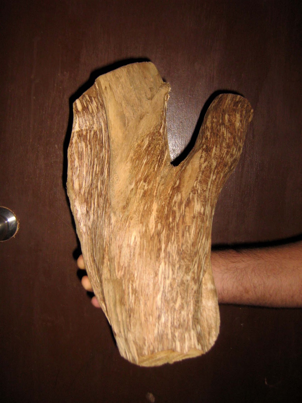 Agarwood Aloeswood Oud Jinkoh Oil: Agarwood Picture Gallery