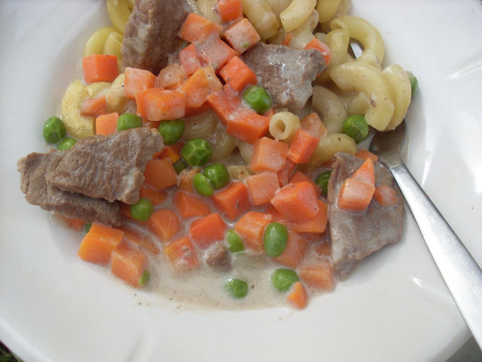 Kokkamine: Veiseliha köögiviljadega