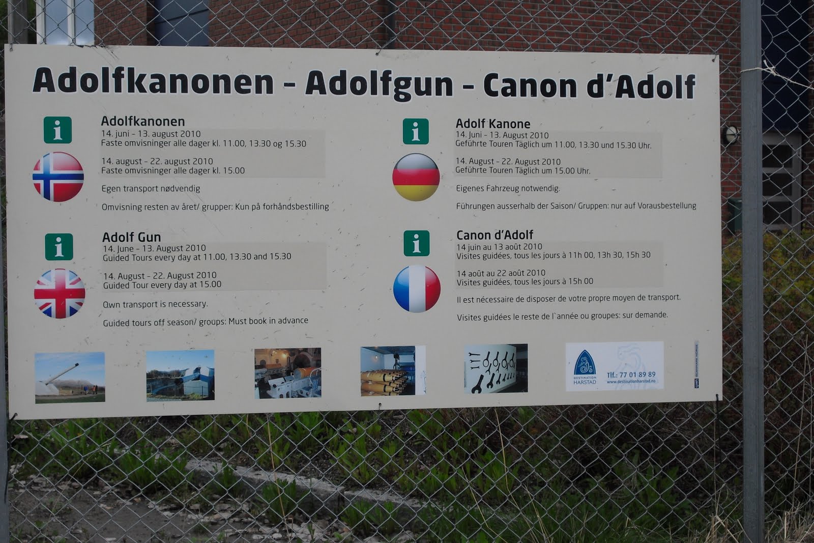 Norwegian Adventure: Whales have leg bones