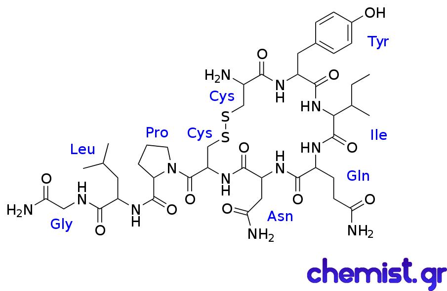 Ωκυτοκίνη (oxytocin) - η ορμόνη τής αφοβίας, της φιλίας, τής αγκαλιάς ...