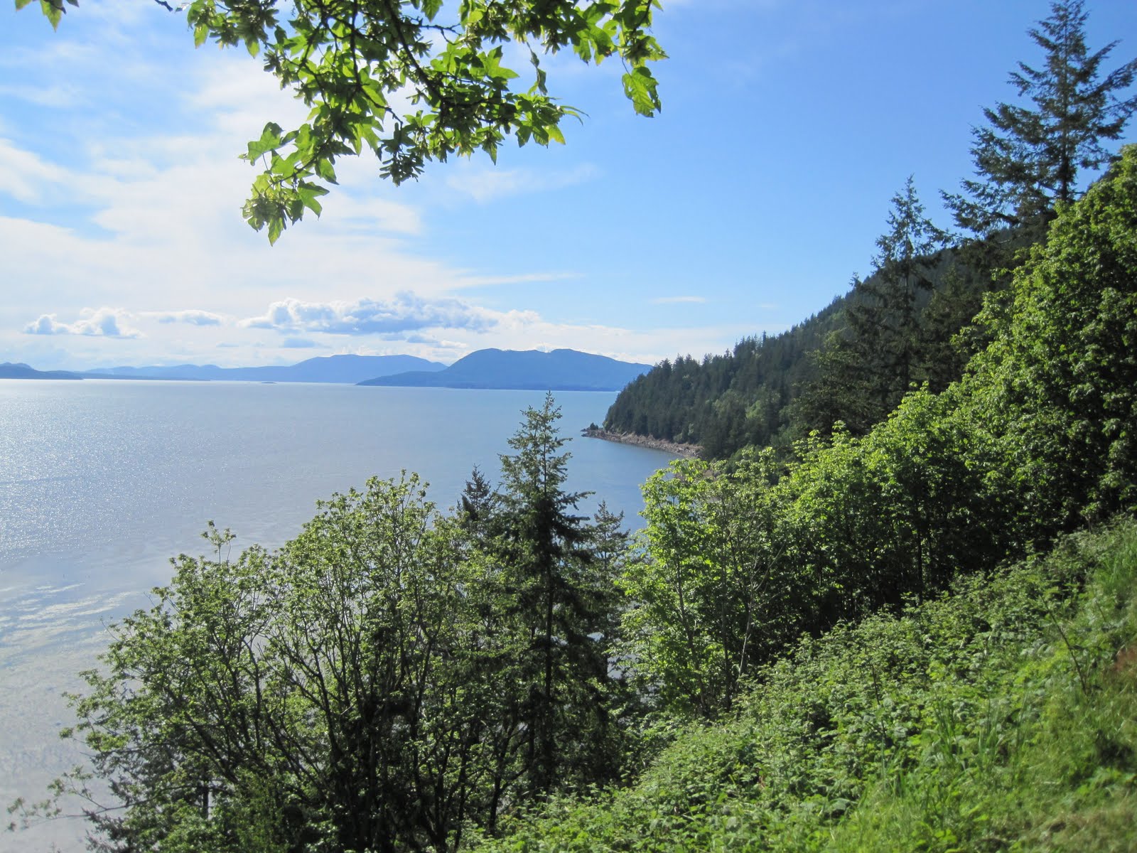 Pieceful Afternoon: Chuckanut Drive