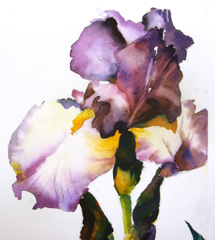 Sharon Lynn Williams' Art Blog: Watercolour demonstration continued