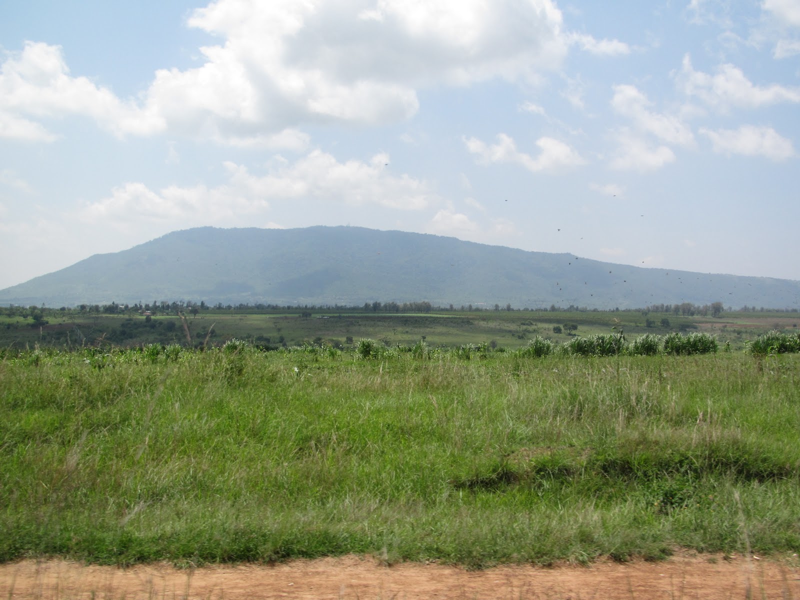 Hilary in Kenya: Field Trip to Matuu