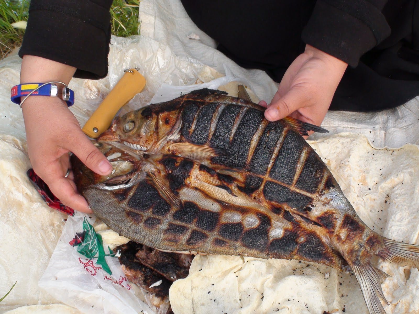 SAHMARAN: The Kurdish question: This is Kurdistan: Picnic in Qaradagh