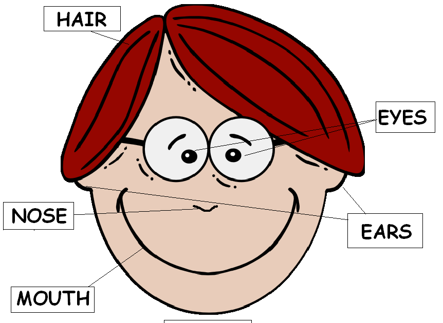 C.E.I.P. Sancho II. 1º y 2º: THE FACE