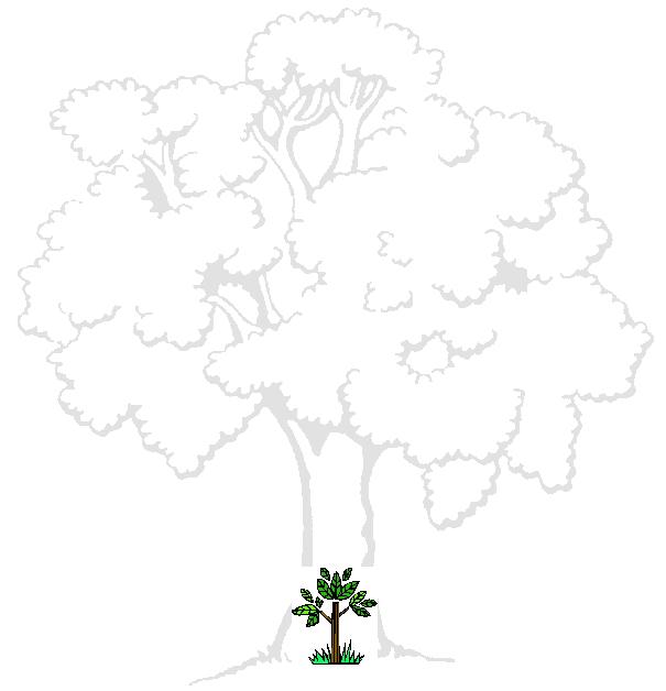 ESOTERICA: EL CUERPO ASTRAL o DOBLE ASTRAL