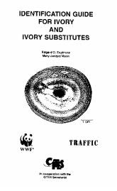 Art Conservation Research: Identification Guide for Ivory and Ivory ...