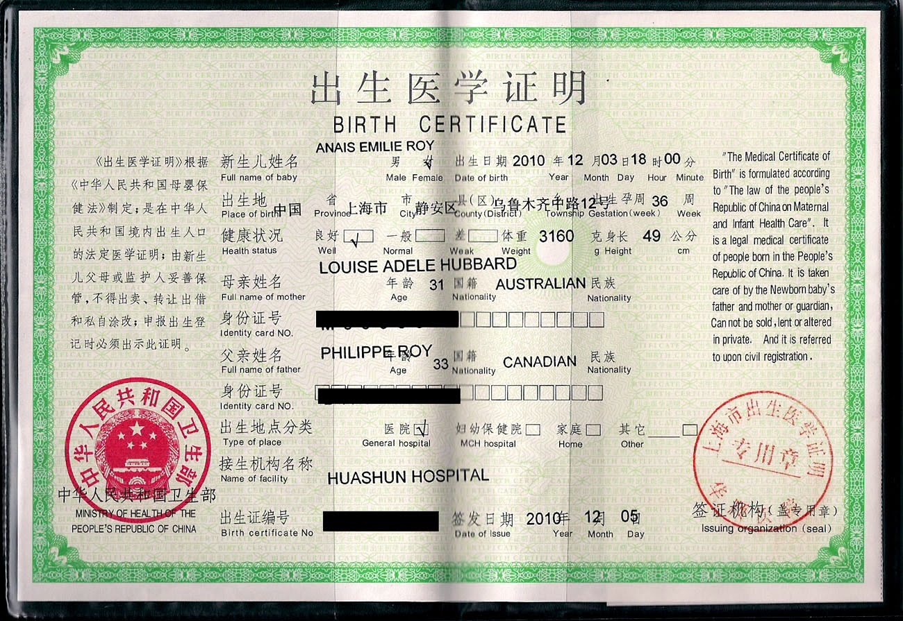 Aussie in the Orient: December 2010