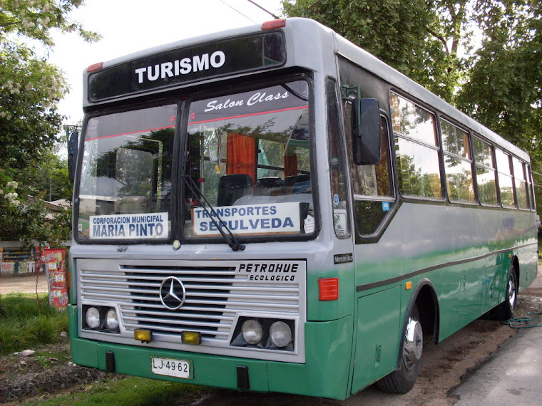 Buses Sepulveda