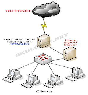 Manu: PROTOCOLO GOPHER