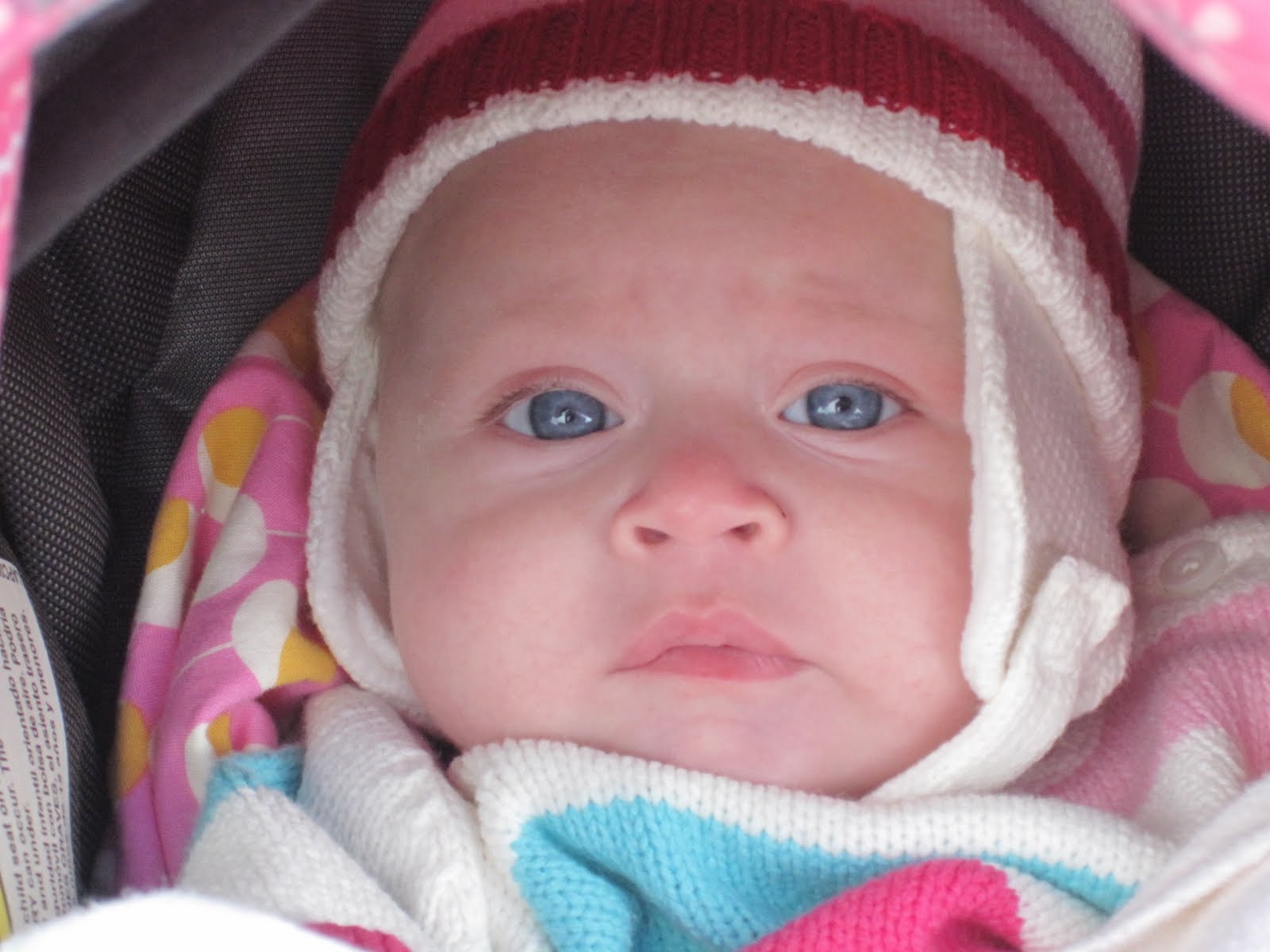 The Real Rachel Ray: The cutest babies in the world