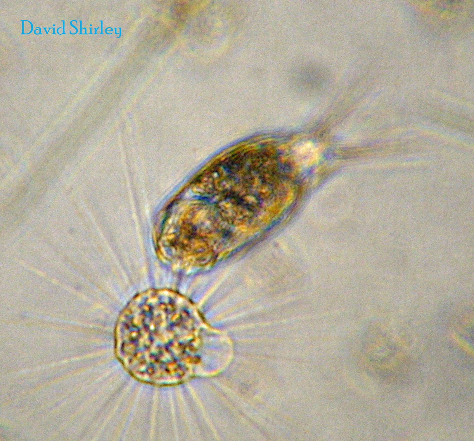 Bodies of Water: Week Two