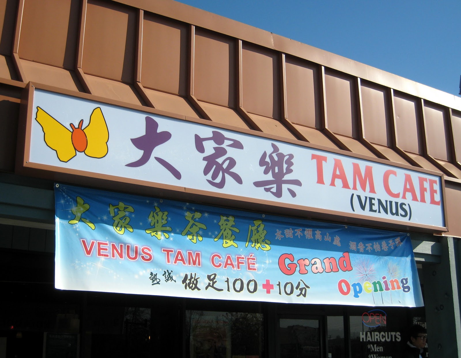 Fatty Shaddy: Venus Cafe