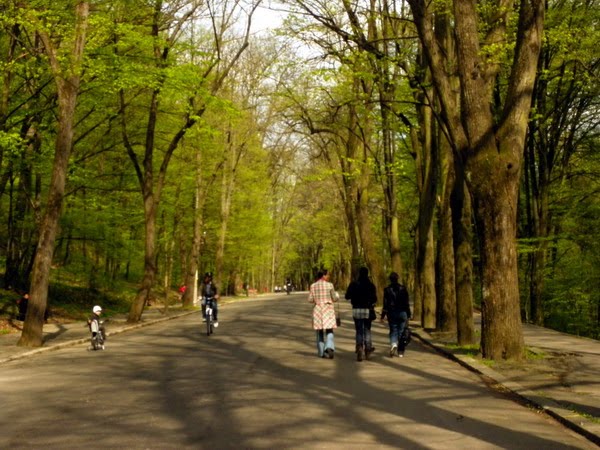 Monica Boiangiu: Plimbare in parc