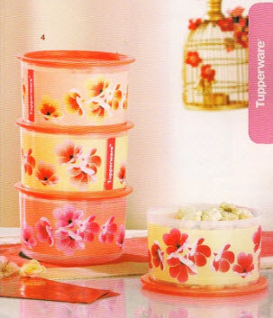 Modern Carino: Tupperware - Chinese New Year Limited Release